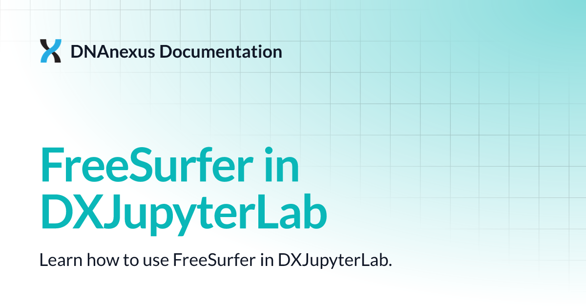 FreeSurfer in DXJupyterLab | DNAnexus Documentation